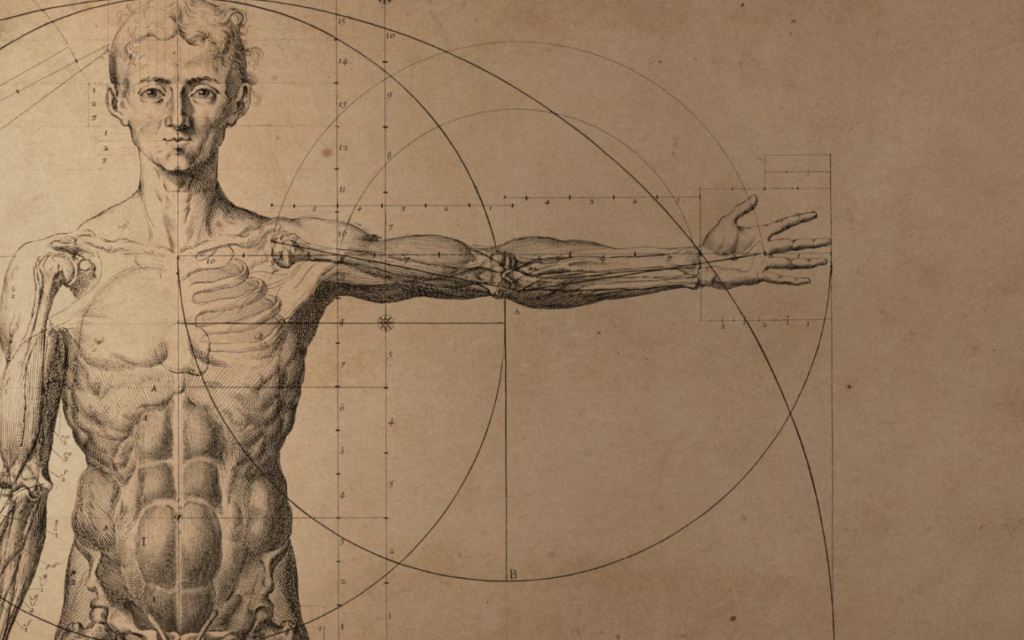 SWCA Global - Spine and Wellness Centers of America